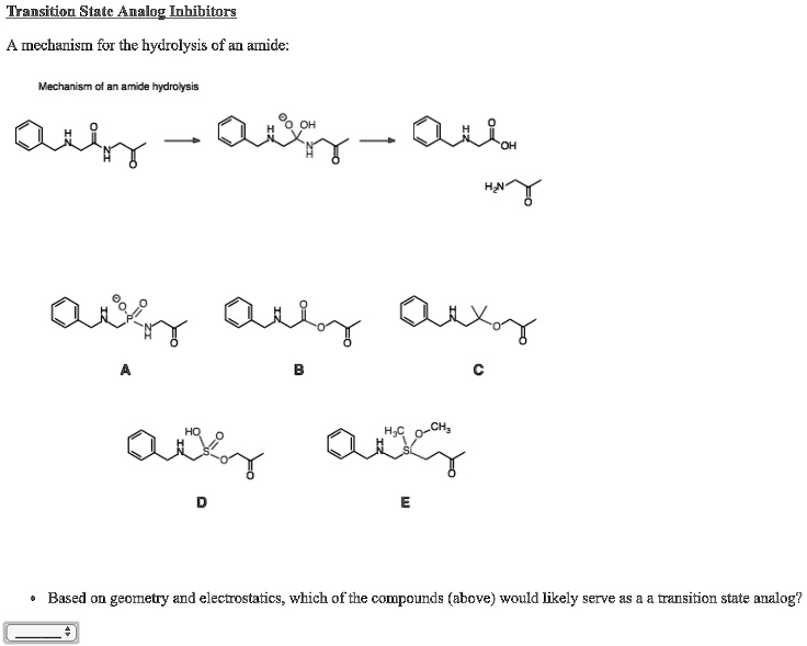 Transition State Analog Inhibitors A mechanism for the hydrolysis of an amide: Mechanism of an ...