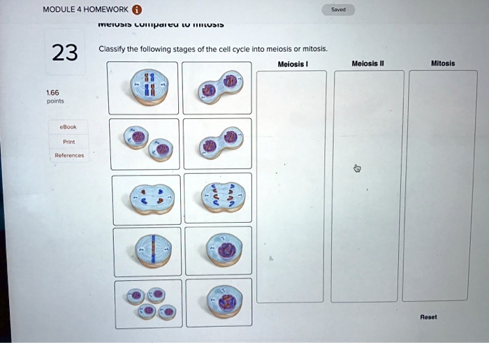 module homework otcnqed lumpaltu 0lusis 23 classify the followlng ...