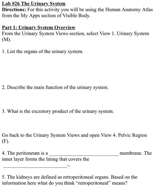 lab 26the urinary system directions for this activity you will be using ...