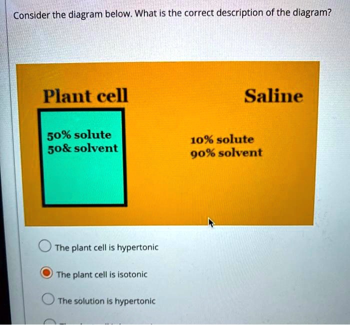 SOLVED: Consider the diagram below. What is the correct description of ...