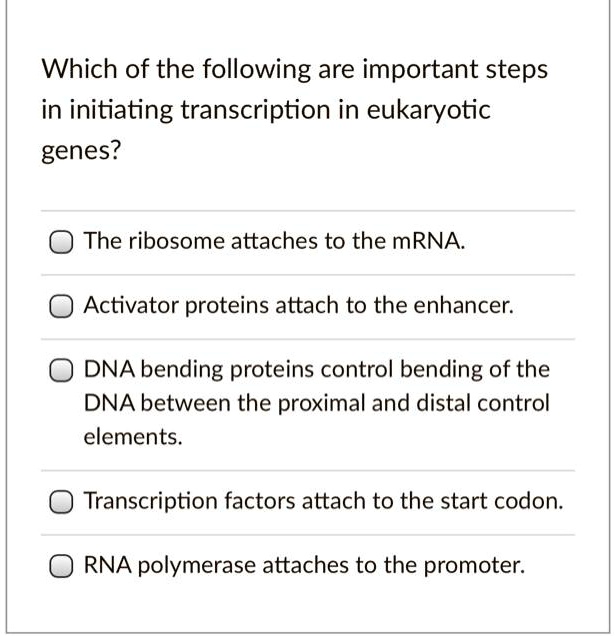 SOLVED: Which of the following are important steps in initiating ...
