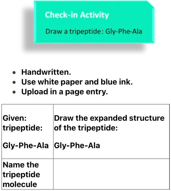 SOLVED: Check-in Activity: Draw a tripeptide: Gly-Phe-Ala Handwritten ...