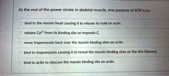 SOLVED: At the end of the power stroke in skeletal muscle, one purpose ...