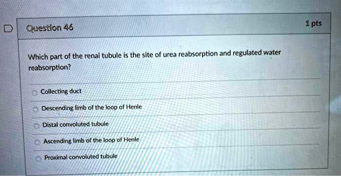 Question 46 Which part of the renal tubule is the site of urea ...