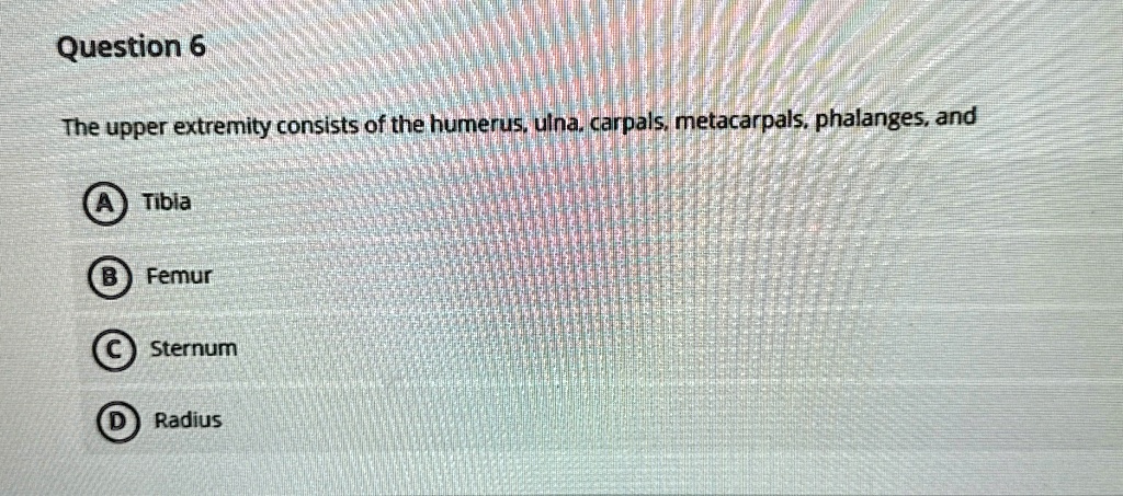 Question 6 The upper extremity consists of the humerus, ulna, carpals ...