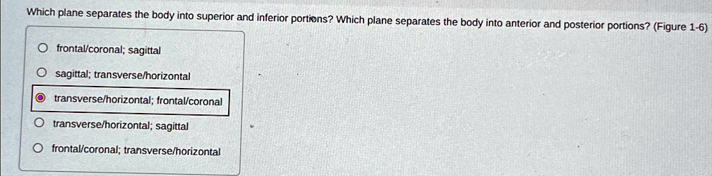 Which plane separates the body into superior and inferior portions ...