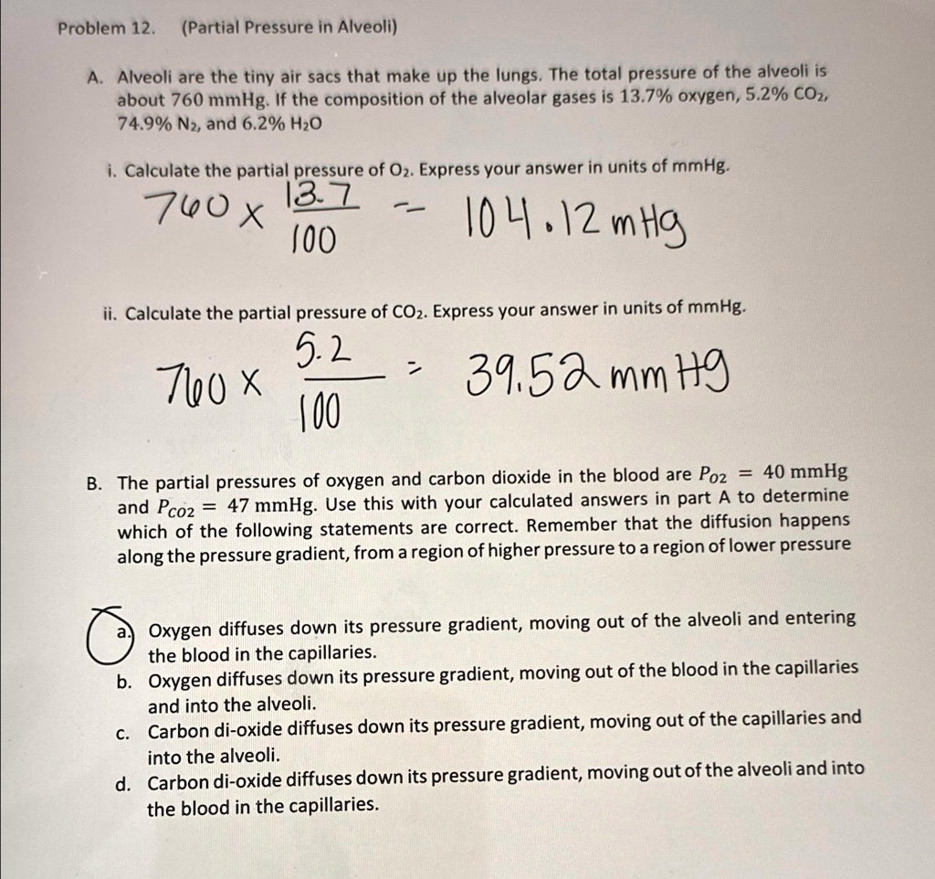 SOLVED: Problem 12. (Partial Pressure in Alveoli) A. Alveoli are the ...
