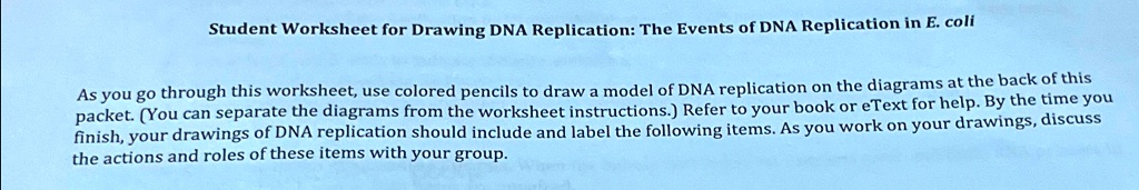 Student Worksheet for Drawing DNA Replication: The Events of DNA ...
