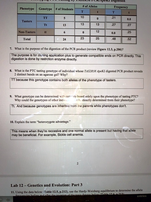 SOLVED: Roreen Frequency Phenotype Genotype Students Tasters Non ...