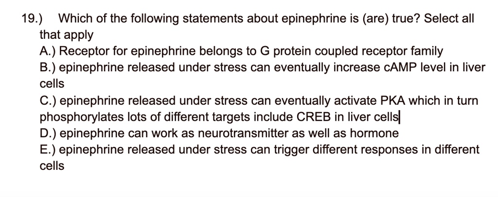 SOLVED: 19.) Which of the following statements about epinephrine is (are) true? Select all that ...