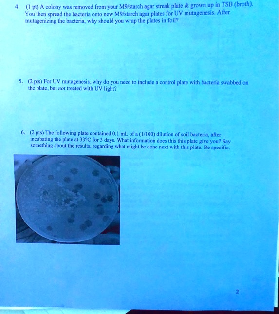 SOLVED: (1 pt) colony removed from your MO/starch agar = sireak plate ...