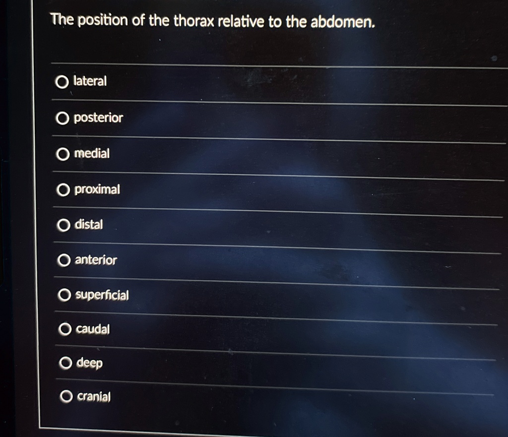 The position of the thorax relative to the abdomen. O lateral O ...