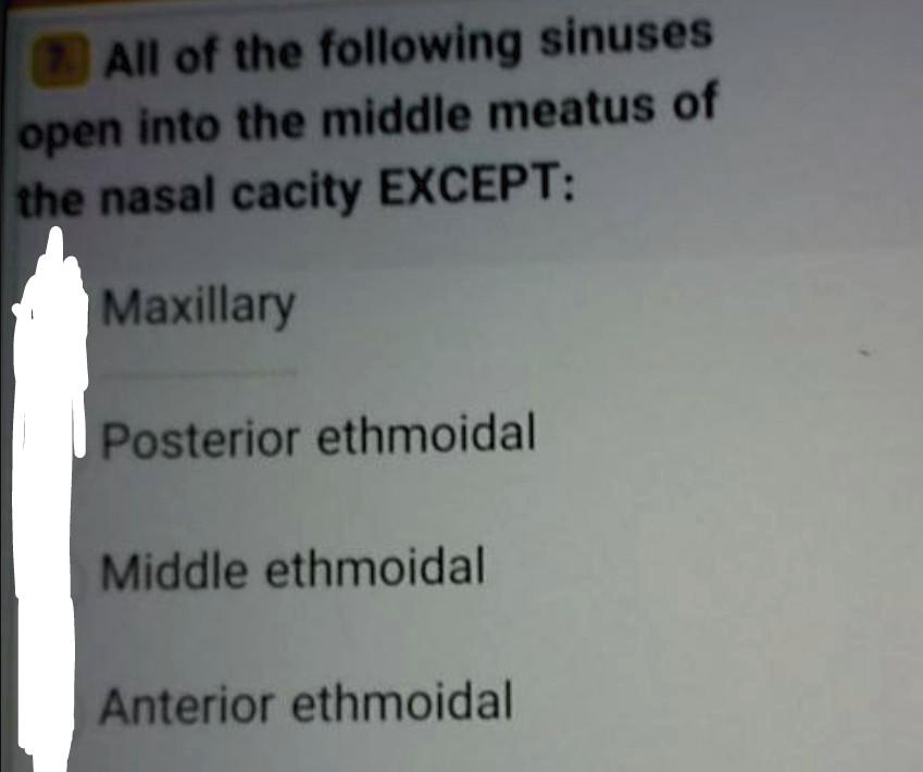 All of the following sinuses open into the middle meatus of the nasal ...