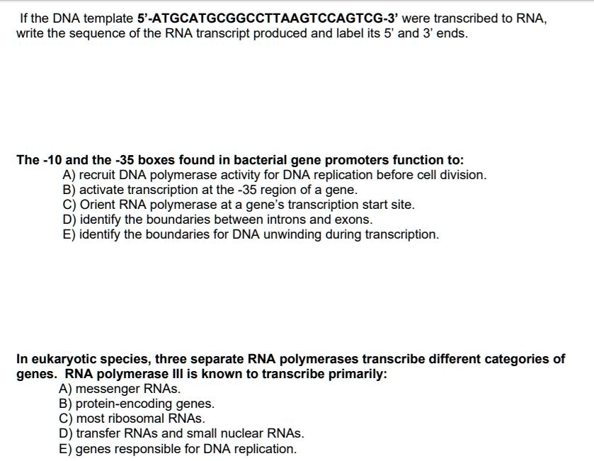 SOLVED: If the DNA template 5'-ATGCATGCGGCCTTAAGTCCAGTCG-3' were ...