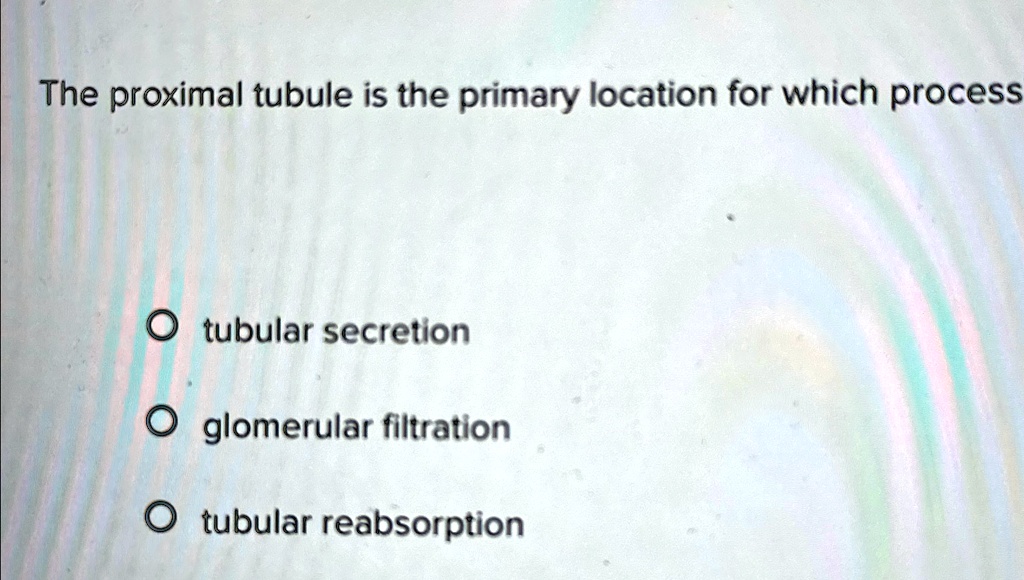 The proximal tubule is the primary location for which process tubular ...