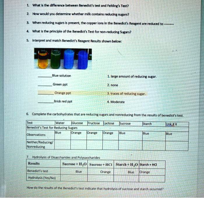 Sucrose Reducing Sugar Test