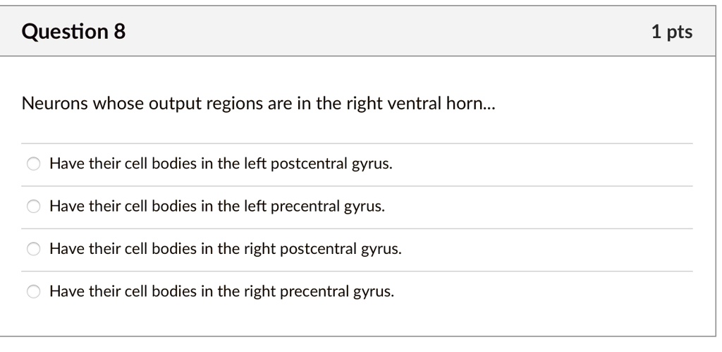 SOLVED: Question 8 1 pts Neurons whose output regions are in the right ...