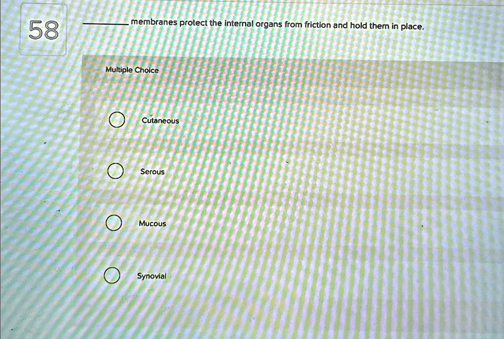 SOLVED: membranes protect the internal organs from friction and hold ...