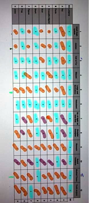 create a cladogram from the following matrix if there are any include ...