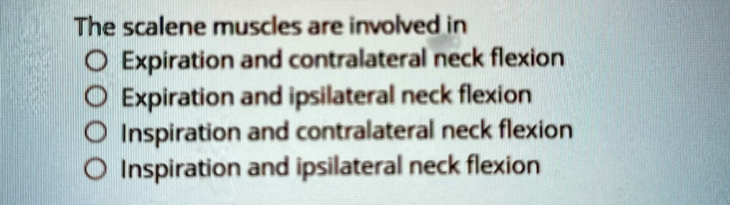 the scalene muscles are involved in expiration and contralateral neck ...