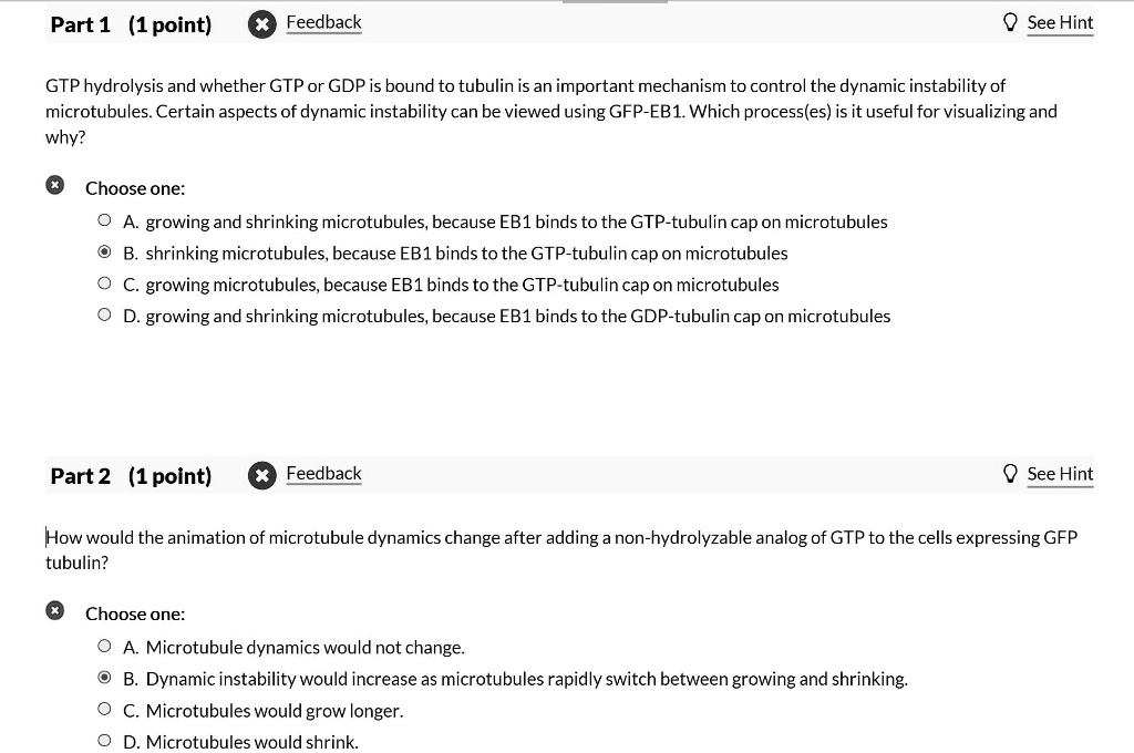 SOLVED: Part 1 (1 point) Feedback See Hint GTP hydrolysis and whether ...