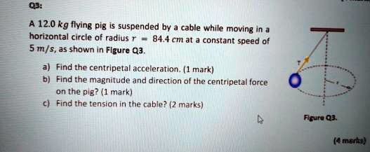 SOLVED: A 12.0 kg flying pig is suspended by a cable while moving in a ...