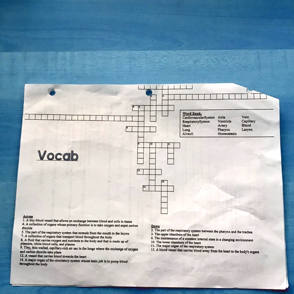 SOLVED: Can I get help with this word riddle, please? Word Bank ...
