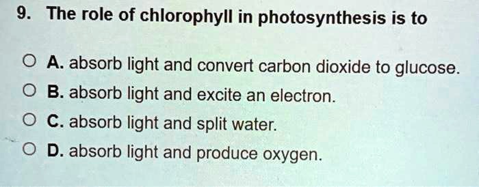 SOLVED: The role of chlorophyll in photosynthesis is to absorb light ...