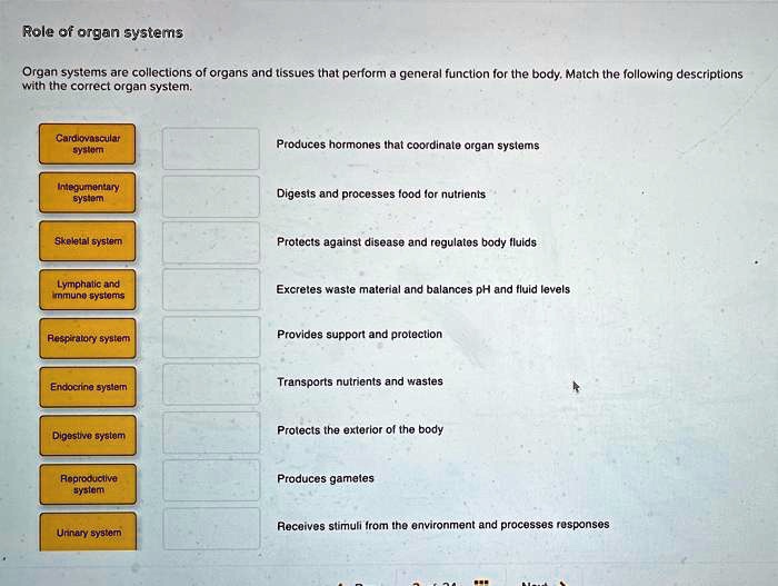 [GET ANSWER] Role of organ systems Organ systems are collections of ...