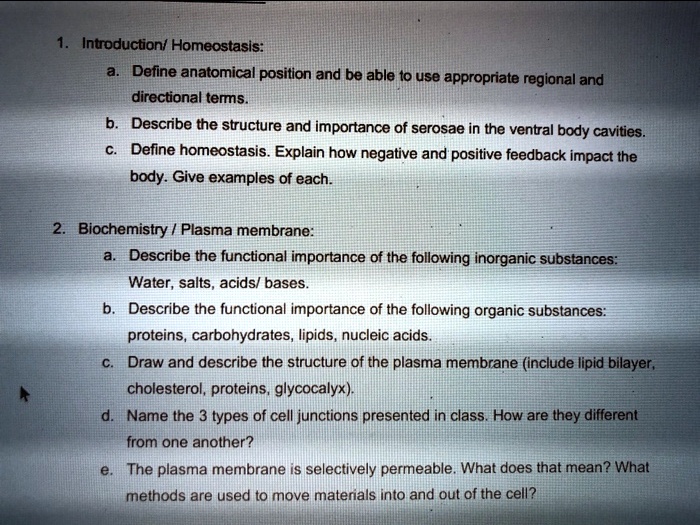 introduction homeostasis define anatomical position and be able t0 use ...