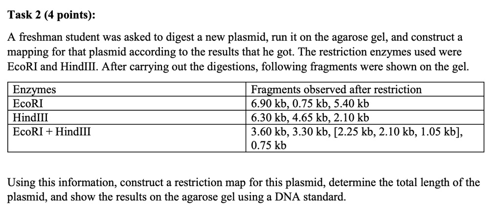 Task 2 (4 points): A freshman student was asked to digest a new plasmid ...