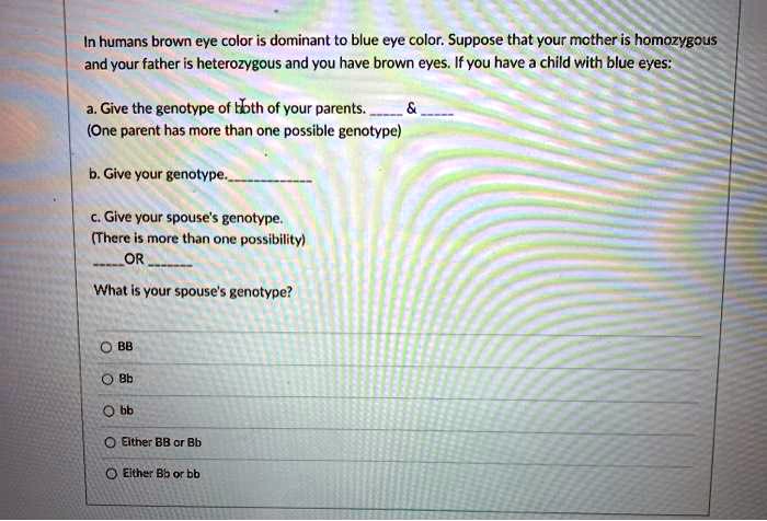 SOLVED: In humans brown eye color is dominant to blue eye color ...
