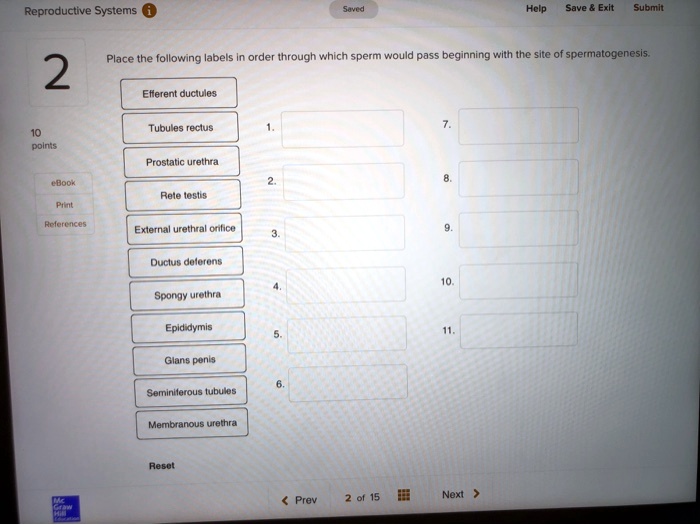 SOLVED: Order through which sperm would pass, beginning with the site of spermatogenesis: Place ...
