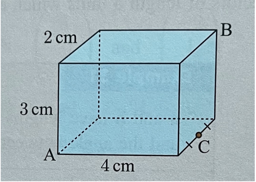 SOLVED: A rectangular-based prism is shown below. Determine the size of ...