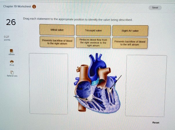 SOLVED: Chapter 19 Worksheet Save Drag each statement to the ...