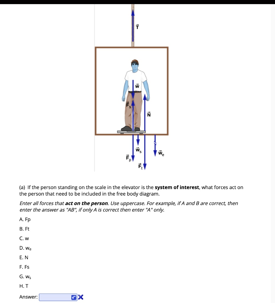SOLVED: If the person standing on the scale in the elevator is the ...
