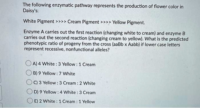 the following enzymatic pathway represents the production of flower ...