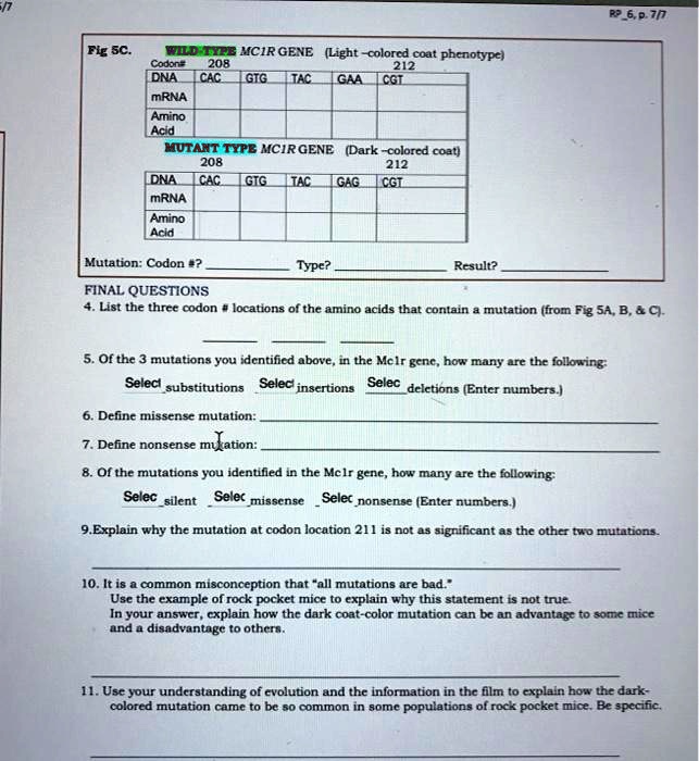 SOLVED: Text: R16,070 Flag C, EDTYEE MCIR GENE (Light colored coat ...