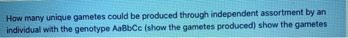 SOLVED:How many unique gametes could be produced through independent ...