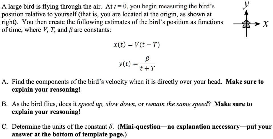 SOLVED: A large bird is flying through the air Att = 0, you begin ...