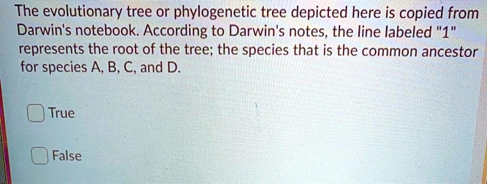 SOLVED: The evolutionary tree or phylogenetic tree depicted here is ...