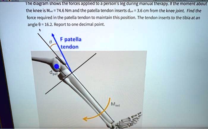 the diagram shows the forces applied to persons leg during manual ...