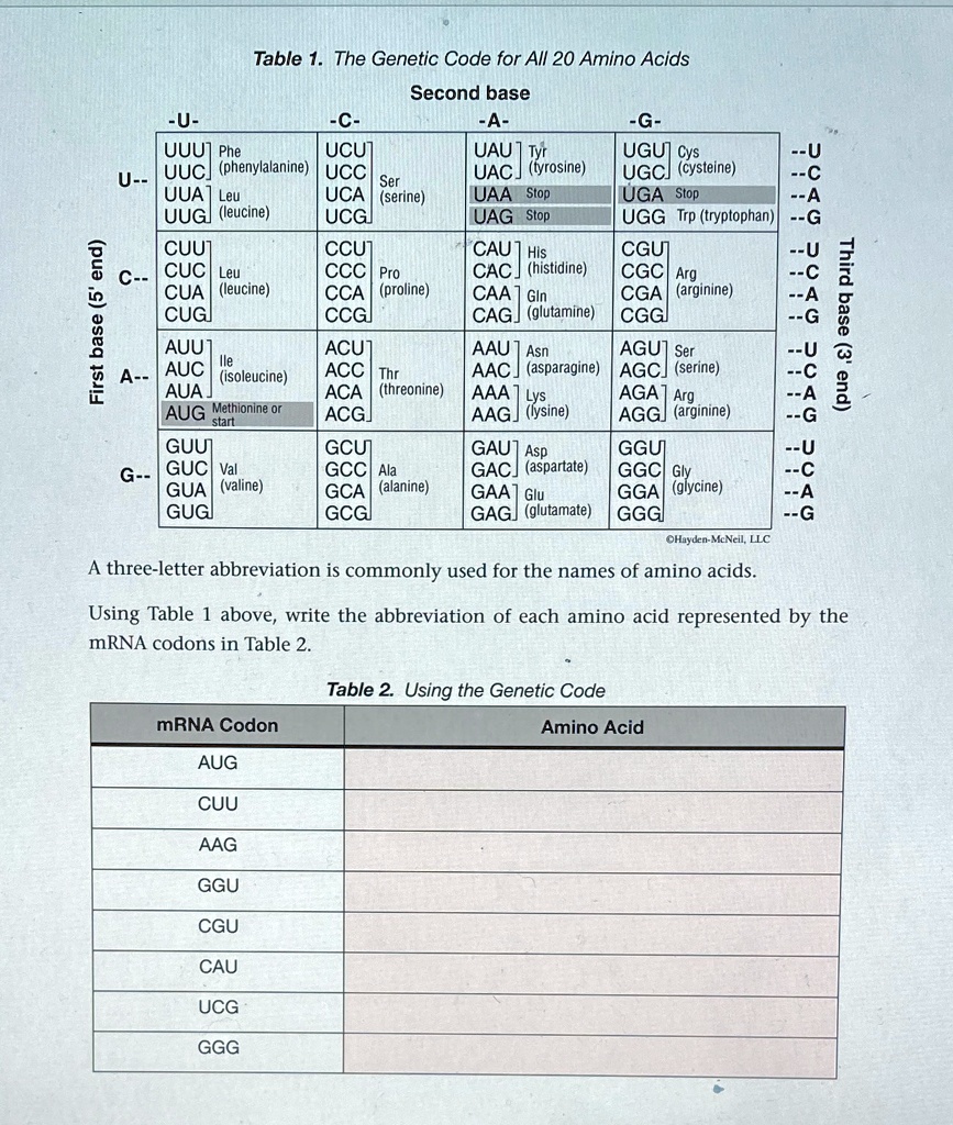 SOLVED: 1. Write the sequence of the RNA strand that would be ...