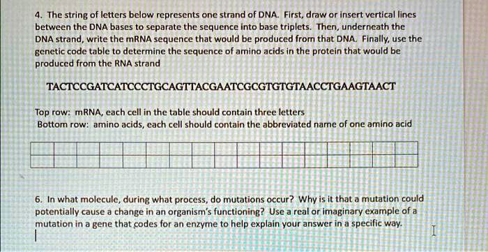 SOLVED: The string of letters below represents one strand of DNA. First ...