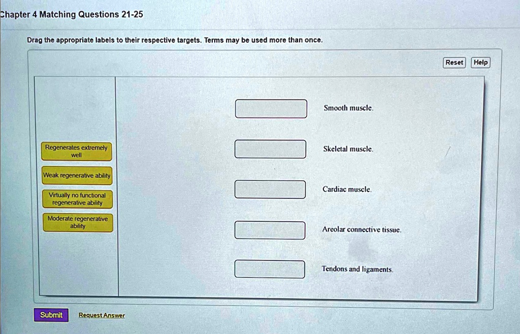 SOLVED: Chapter 4 Matching Questions 21-25 Drag the appropriate labels ... SOLVED: Chapter 4 Matching Questions 21-25 Drag the appropriate labels ...