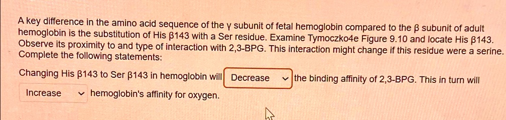 SOLVED: A key difference in the amino acid sequence of the γ subunit of ...
