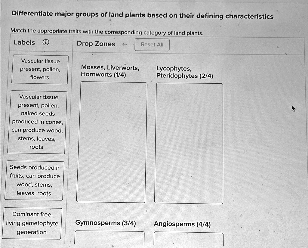differentiate major groups of land plants based on their defining ...