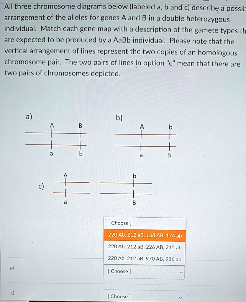 SOLVED: All three chromosome diagrams below (labeled a, b, and c ...