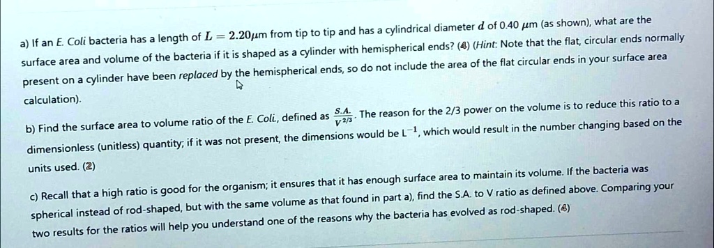 SOLVED: a) If an E. Coli bacteria has a length of L=2.20mu m from tip ...