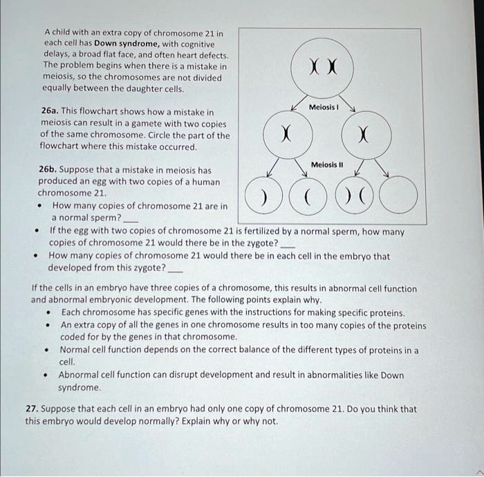 SOLVED: A child with an extra copy of chromosome 21 in each cell has ...